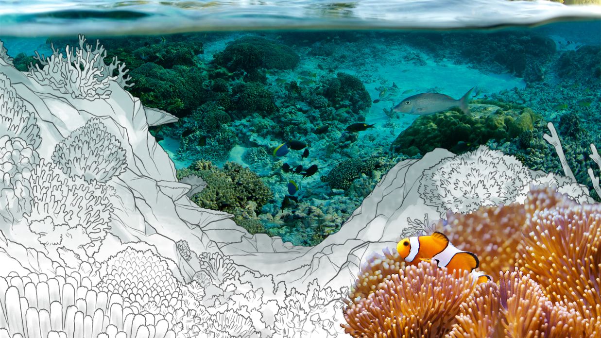 Klimawandel trifft schutzlose Tiere