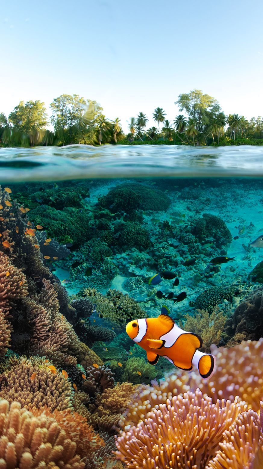 Klimawandel trifft schutzlose Tiere