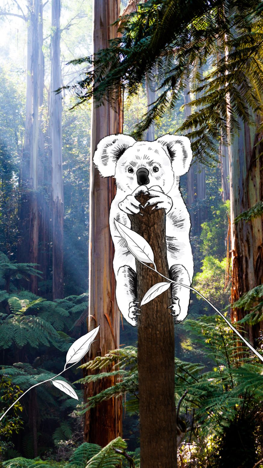 Klimawandel trifft schutzlose Tiere