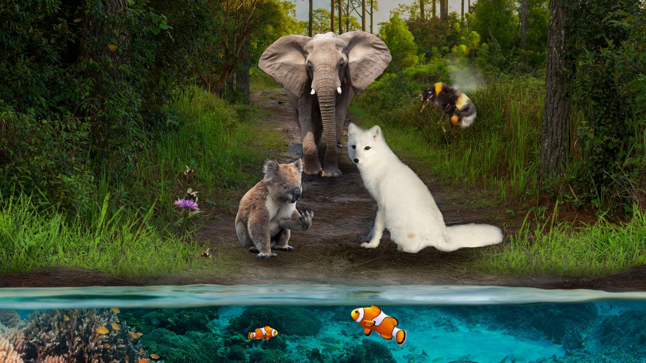 Klimawandel trifft schutzlose Tiere