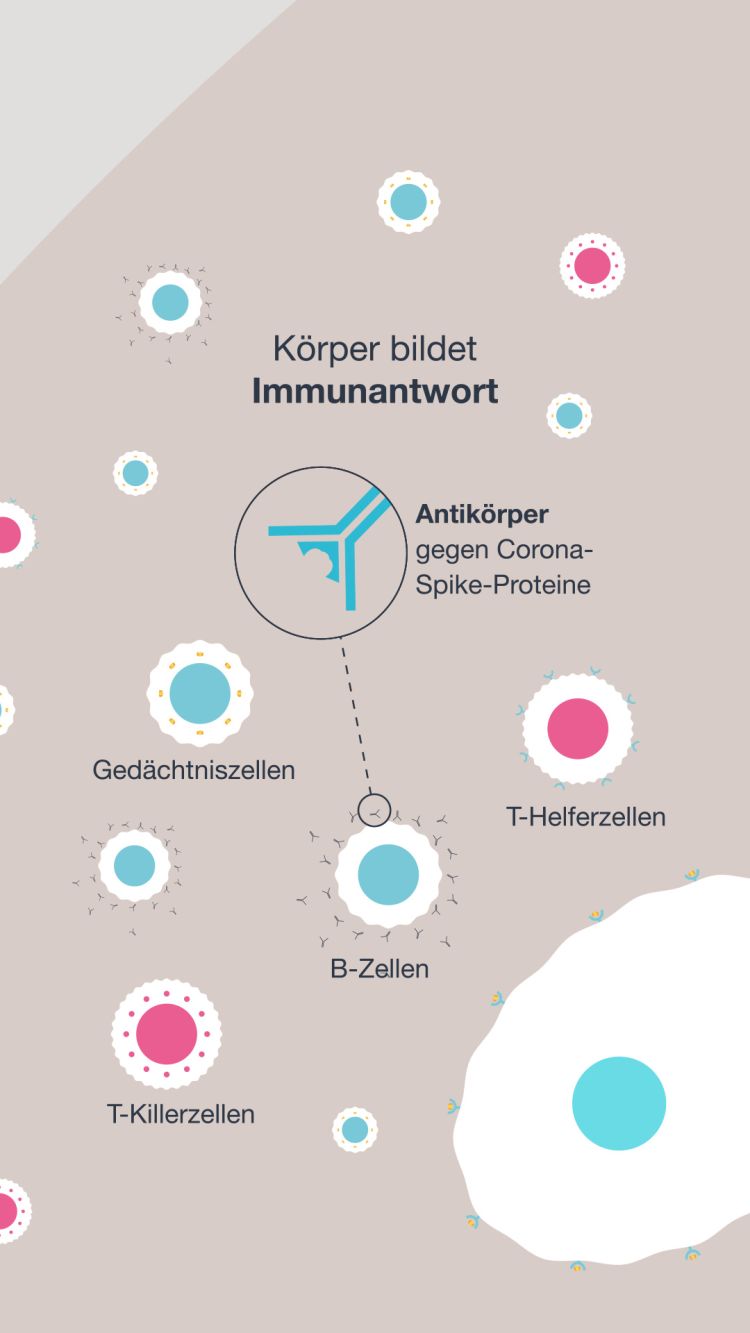 mRNA- und Vektorimpfstoffe