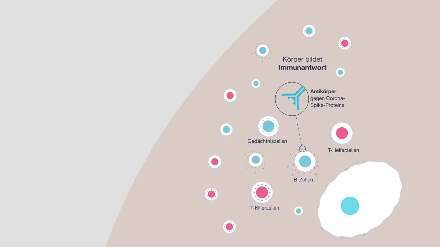 mRNA- und Vektorimpfstoffe