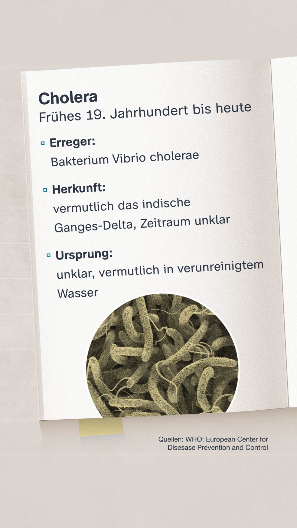 Was wir aus Pandemien und Seuchen gelernt haben